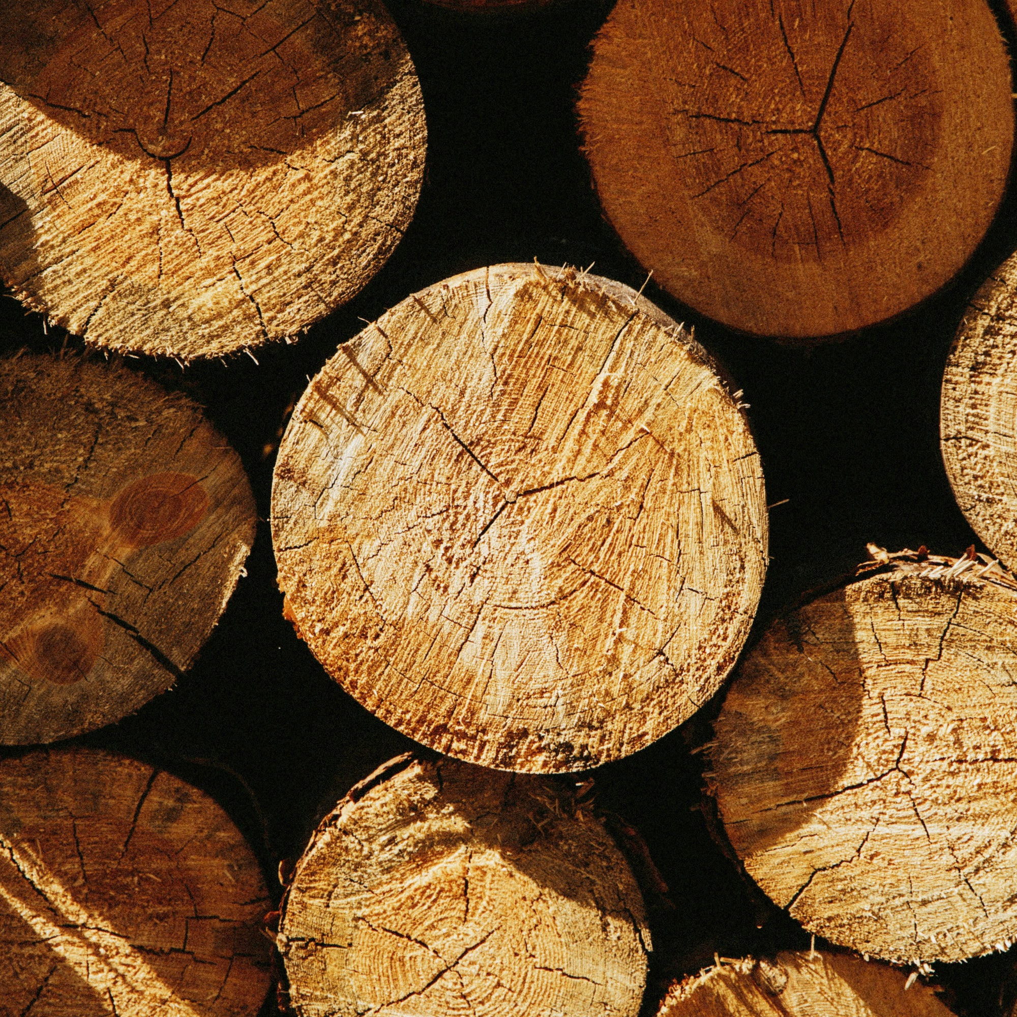 Our Promises | FLO Aroma