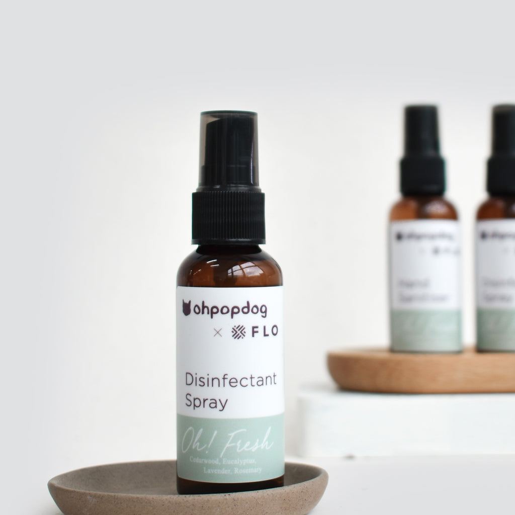 Disinfectant Spray - Oh! Fresh | FLO Singapore – FLO Aroma